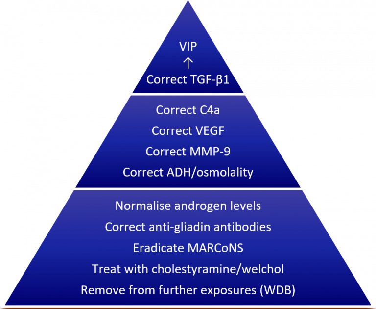 Chronic Inflammatory Response Syndrome (CIRS) Explained - Toxic Mould ...