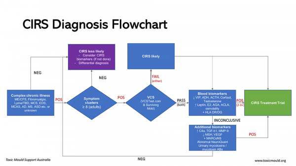 Chronic Inflammatory Response Syndrome (CIRS) Explained - Toxic Mould ...